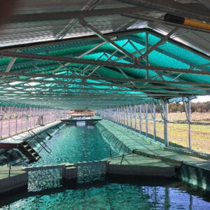 Sterling Springs Hatchery - Arizona Game & Fish Department