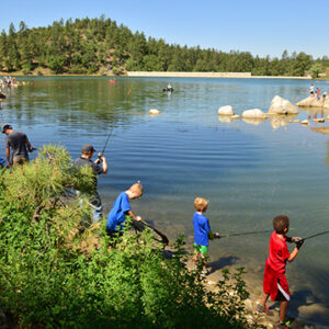 Special Licenses - Arizona Game & Fish Department