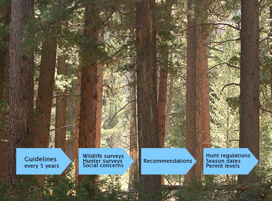 Hunt Guidelines Process - Arizona Game & Fish Department