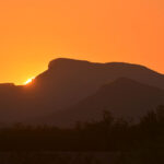 Licenses and Regulations - Arizona Game & Fish Department
