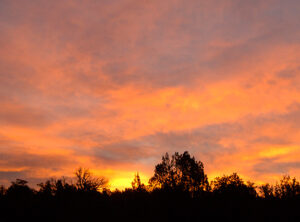 Contact Us - Arizona Game & Fish Department