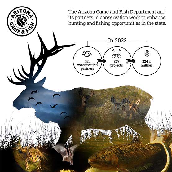 On-the-Ground Conservation Actions - Arizona Game & Fish Department